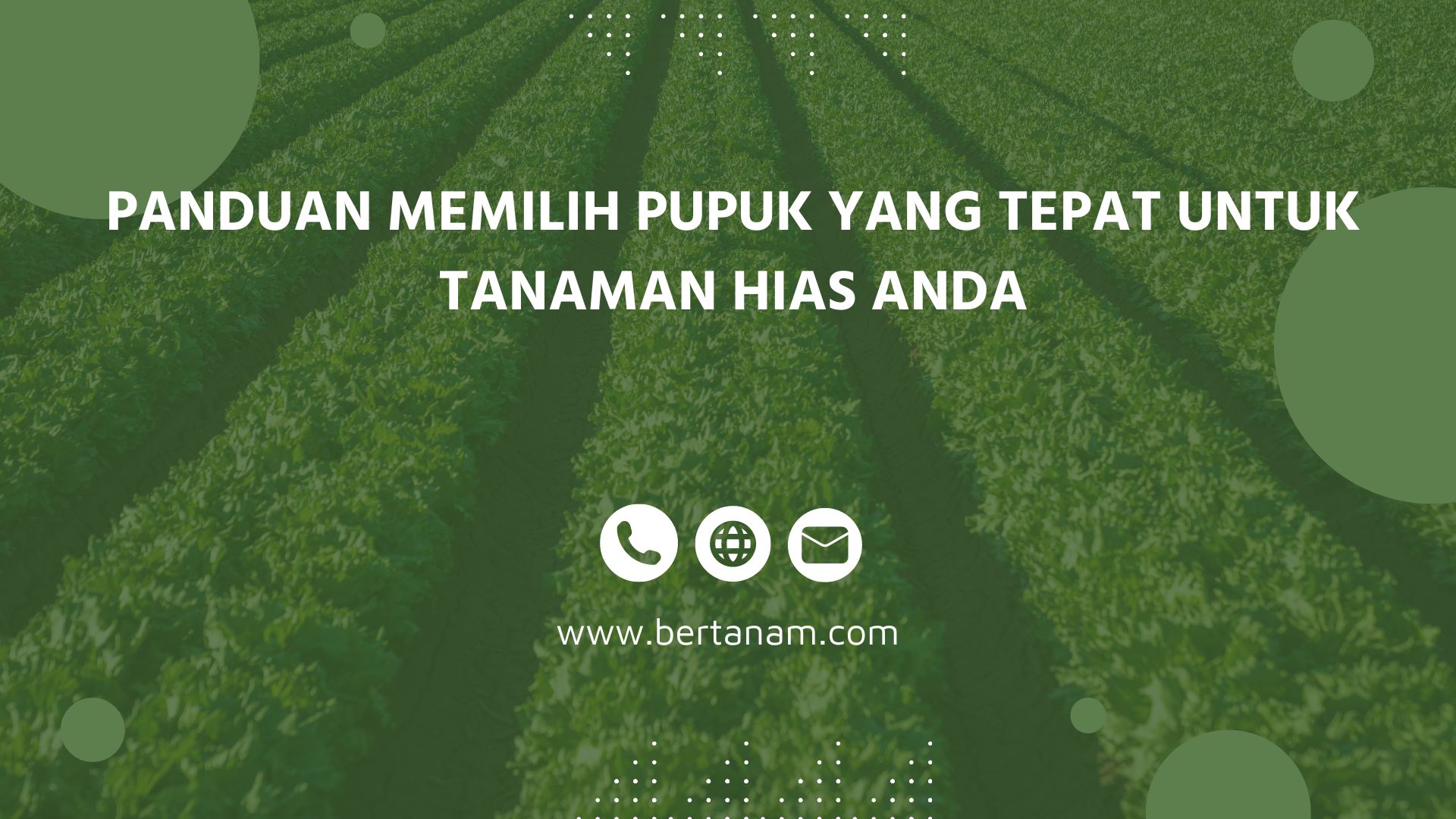 Panduan Memilih Pupuk yang Tepat untuk Tanaman Hias Anda - Bertanam Panduan Memilih Pupuk yang Tepat untuk Tanaman Hias Anda - Bertanam
