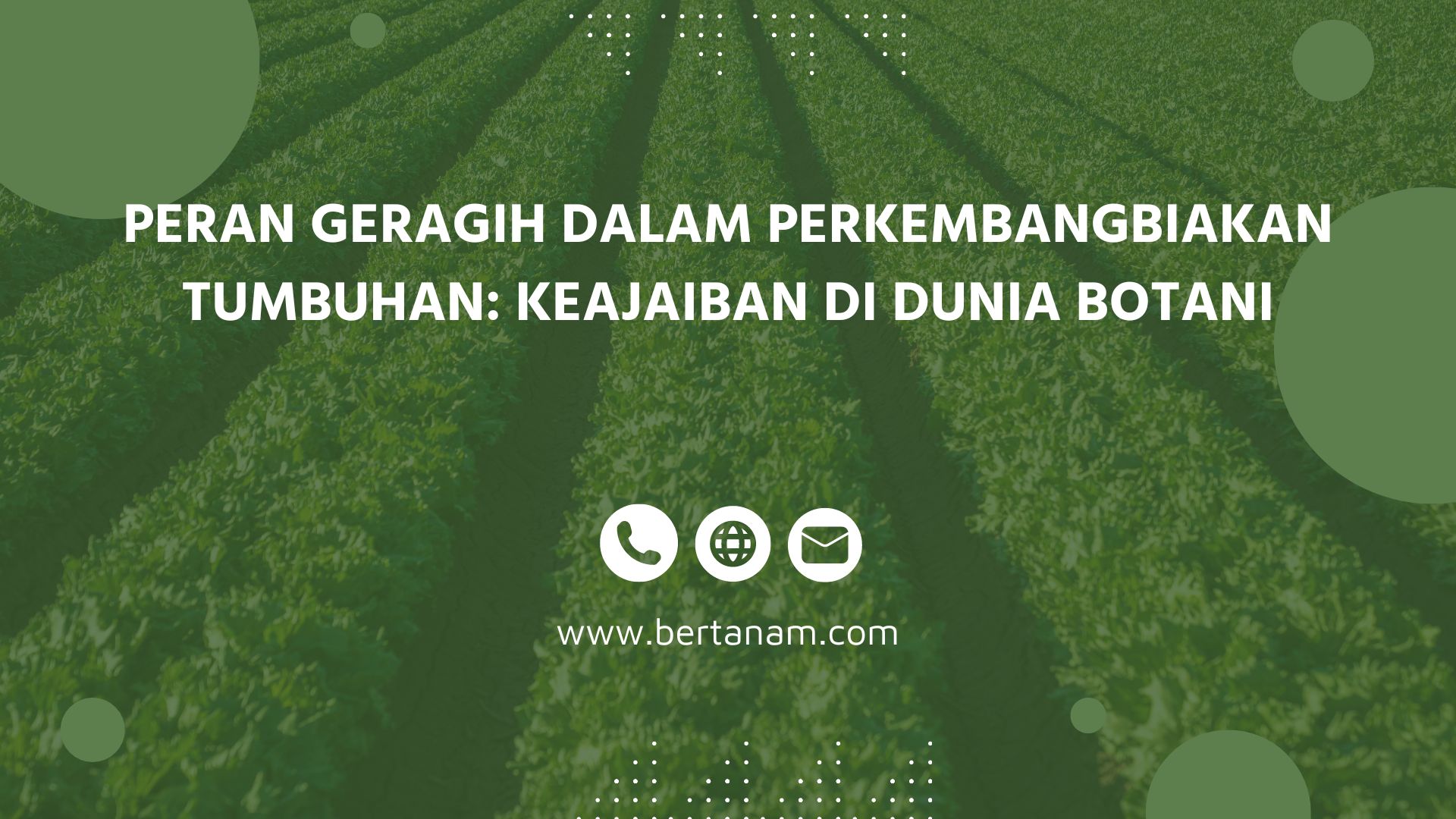 Peran Geragih dalam Perkembangbiakan Tumbuhan: Keajaiban di Dunia ... Peran Geragih dalam Perkembangbiakan Tumbuhan: Keajaiban di Dunia ...
